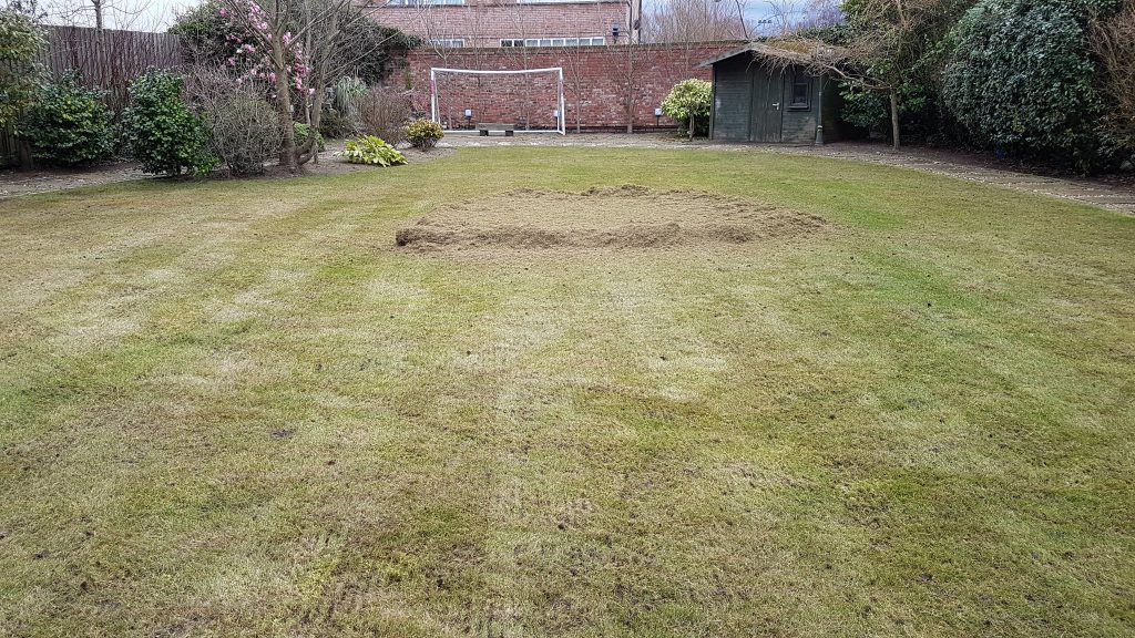 The best time for lawn scarification - GreenBest Fertiliser