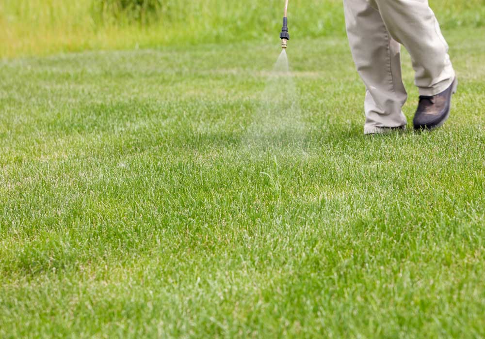 Slow release nitrogen fertiliser - NMAXX | Velvit premium pitch care