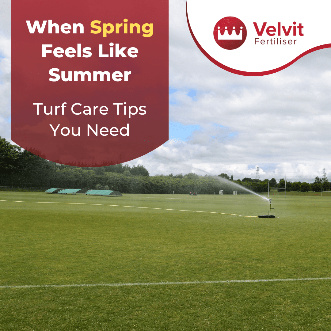 Fertiliser Manufacturer & Supplier | GreenBest, Velvit & SmartLawn